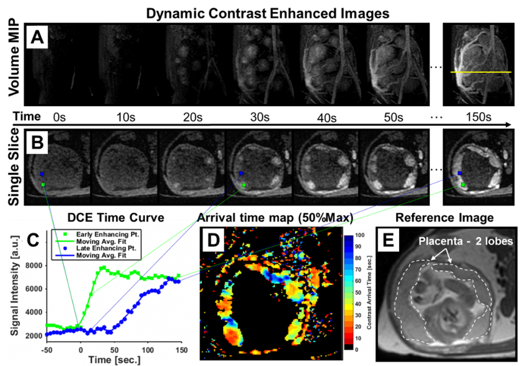 preclinical – Department of Medical Physics – UW–Madison